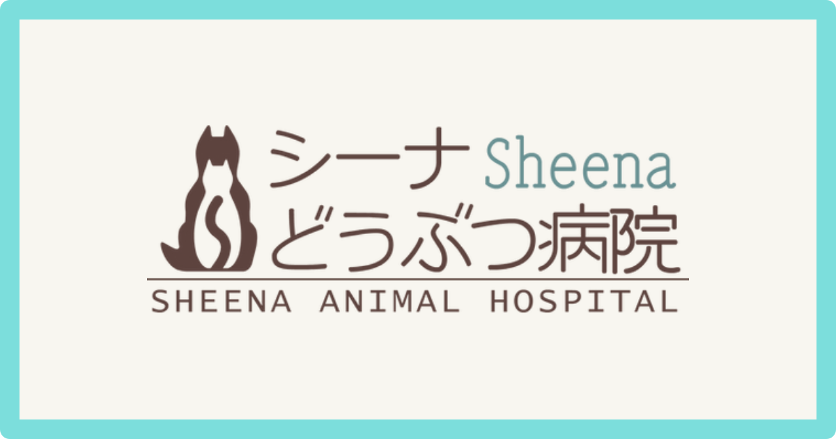 静岡市葵区のシーナどうぶつ病院｜女性獣医師が寄り添う診療